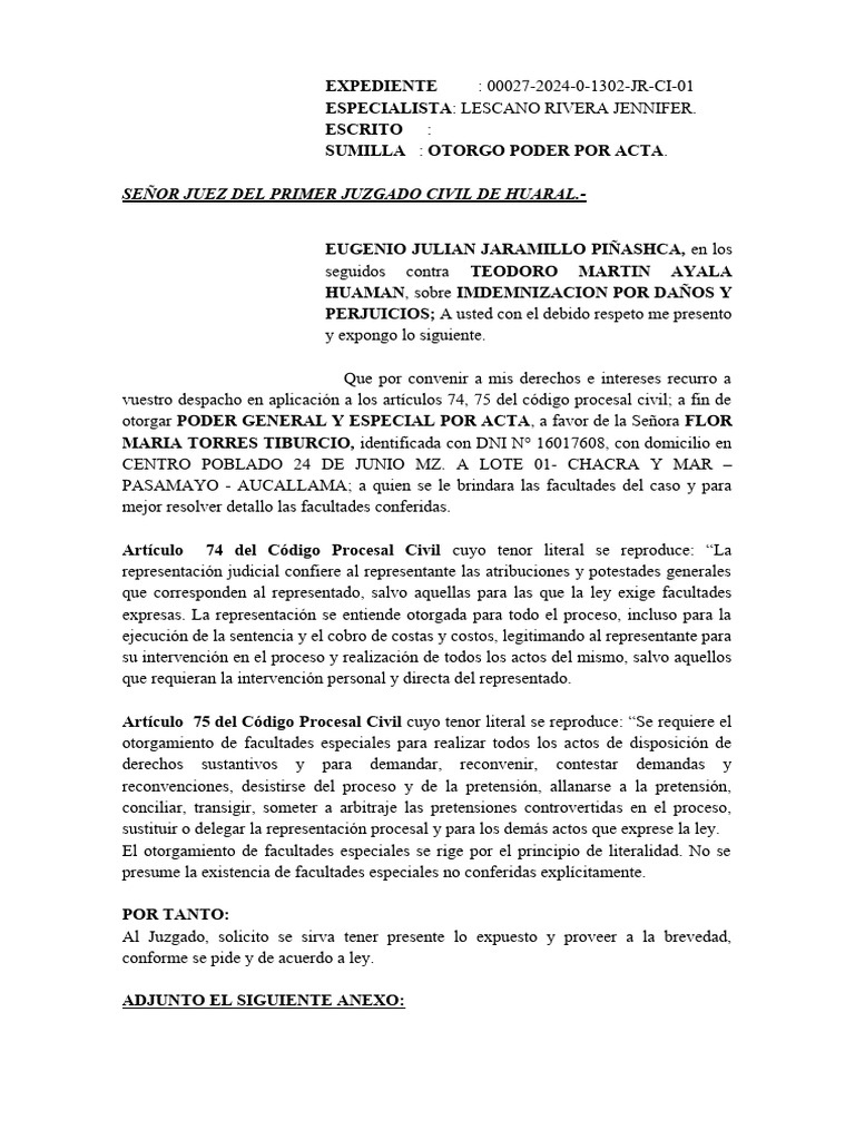 Poder Por Acta | PDF | Ley procesal | Instituciones gubernamentales