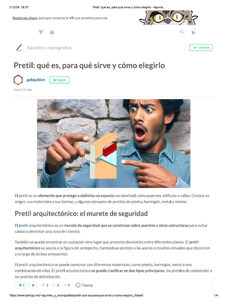 Pretil Qué Es para Qué Sirve y Cómo Elegirlo | PDF