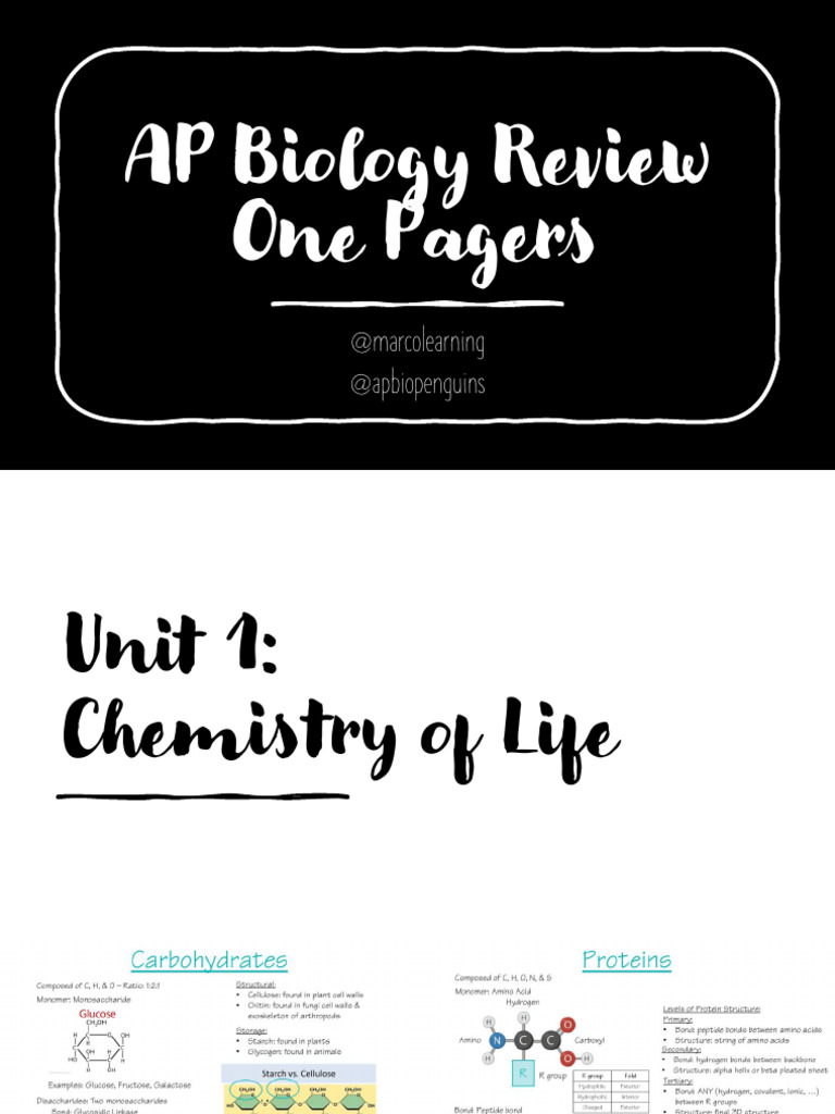 AP Biology Review One Pagers | PDF