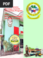 Barangay Protection Order Sample | PDF | Justice | Public Law