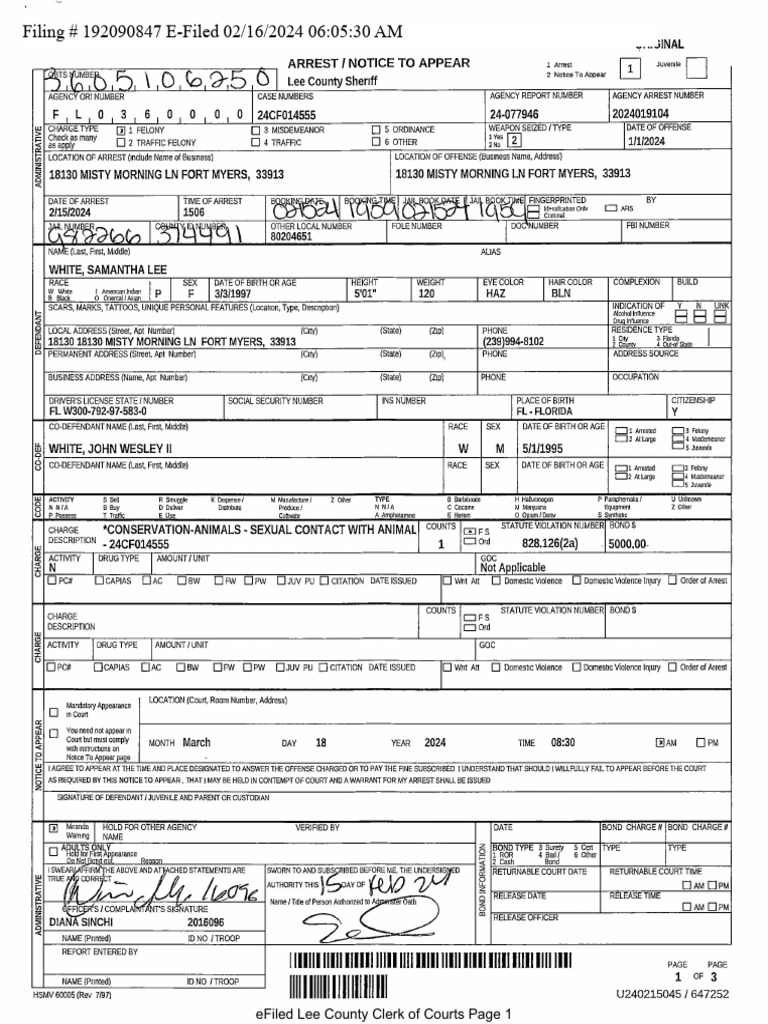 Samantha Lee White Booking Report | PDF | Bail | Arrest