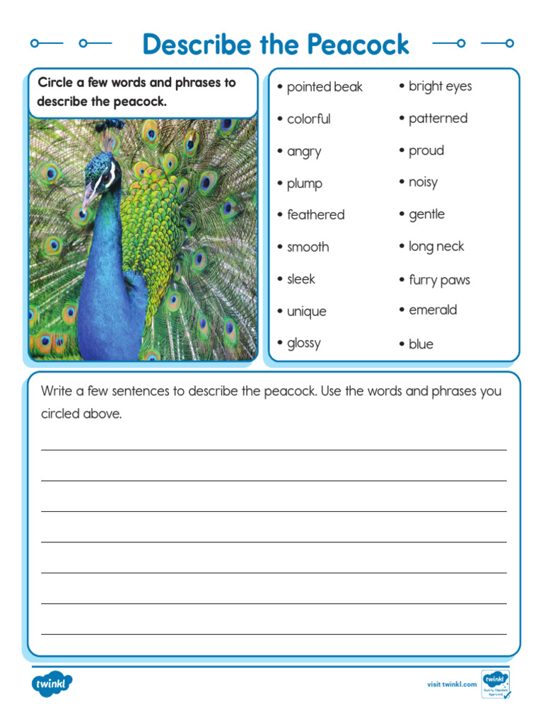 Describe The Peacock Activity - Ver - 2 | PDF