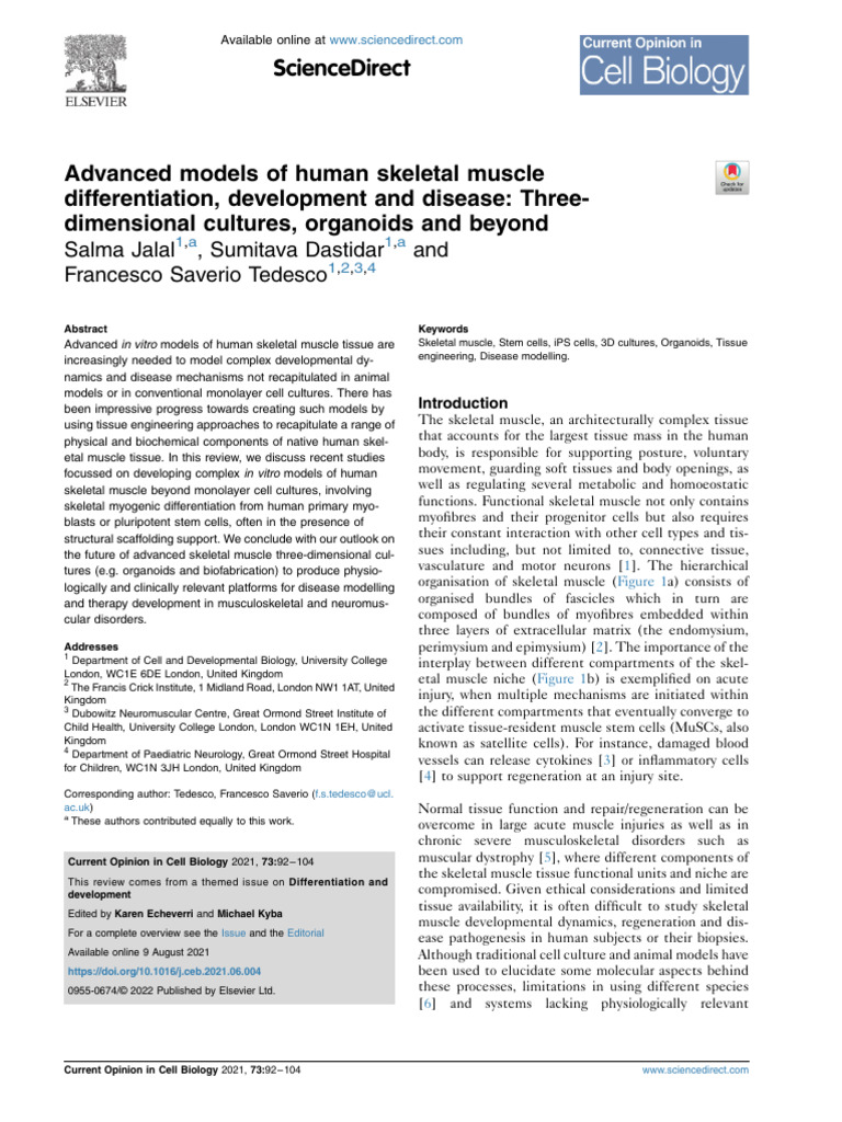 Advanced Models of Human Skeletal Muscle Differentiation - 2021 - Current Opini | Download Free ...