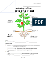 Cross Sections of Leaf Stem and Root | PDF | Leaf | Plant Stem