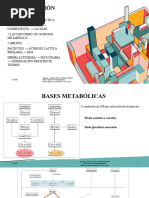 Hiperlactatemia: Causas y Tratamiento | PDF | Ácido láctico | Fisiología