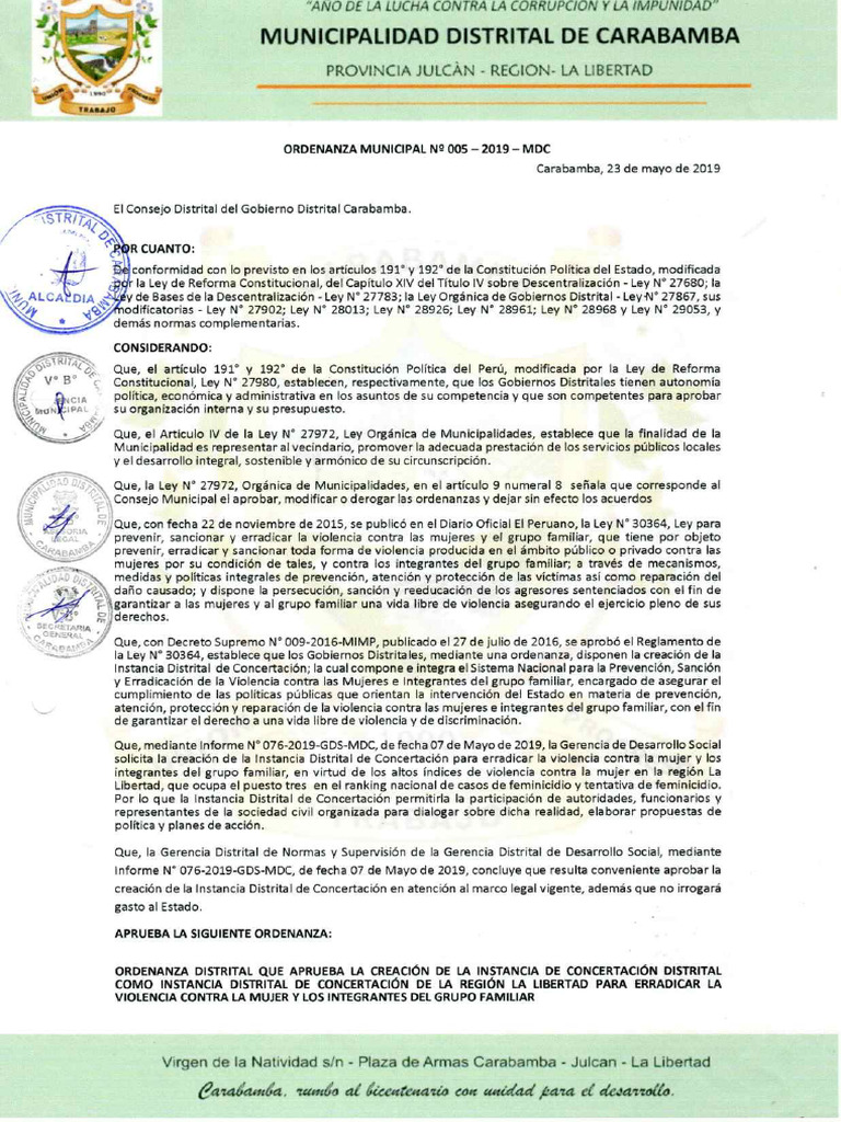 Modelo de Ordenanza | PDF