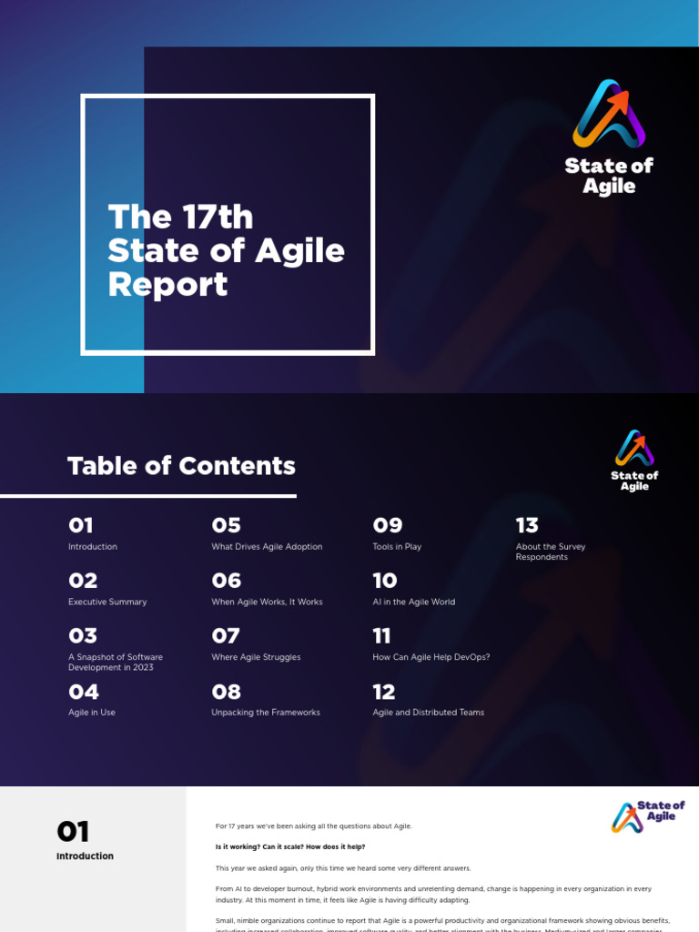 RE SA 17th Annual State of Agile Report | PDF | Agile Software Development | Software ...