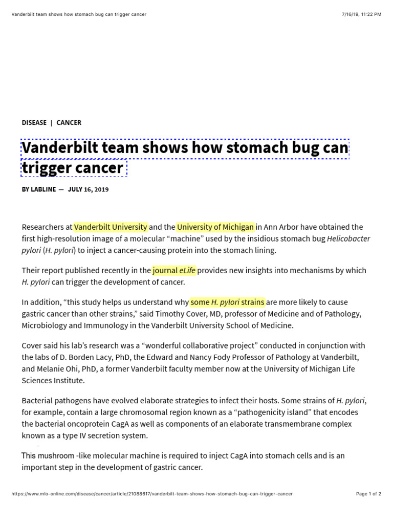Vanderbilt Team Shows How Stomach Bug Can Trigger Cancer | PDF | Cancer ...