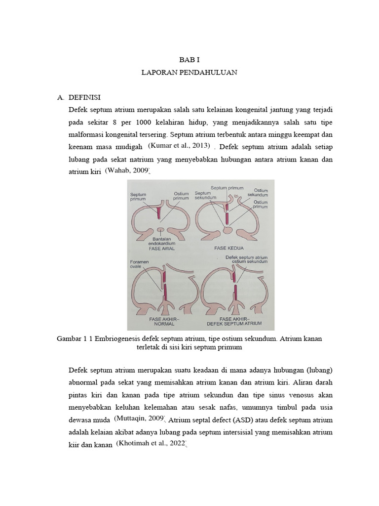 Defek Septum Atrium | PDF