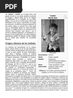 Cultura y actualidad de los Caxcanes | PDF | Pueblos Indígenas de las ...