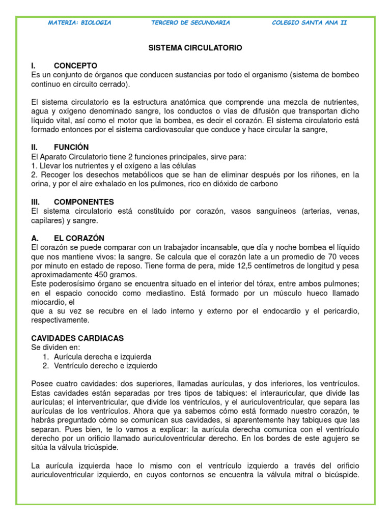 Tema 5 Sistema Circulatorio | PDF | Sistema circulatorio | Corazón