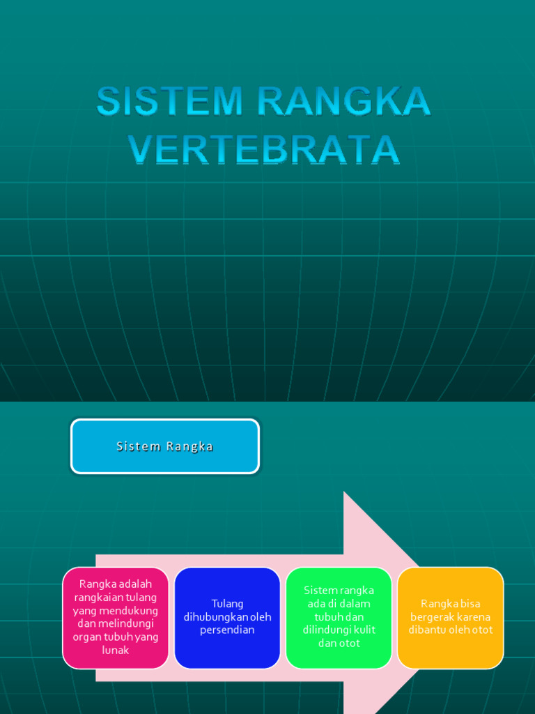 Pertemuan 6 Sistem Rangka Dan Pencernaan Vertebrata | PDF