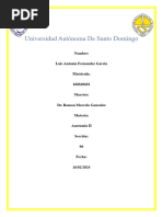 Definición y ubicación de la ingle | PDF | Estudios de idiomas ...