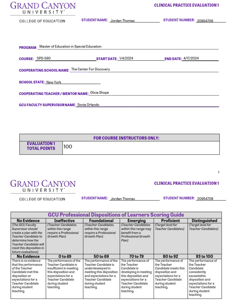 Clinical Practice Evaluation 1 | PDF | Teachers | Curiosity
