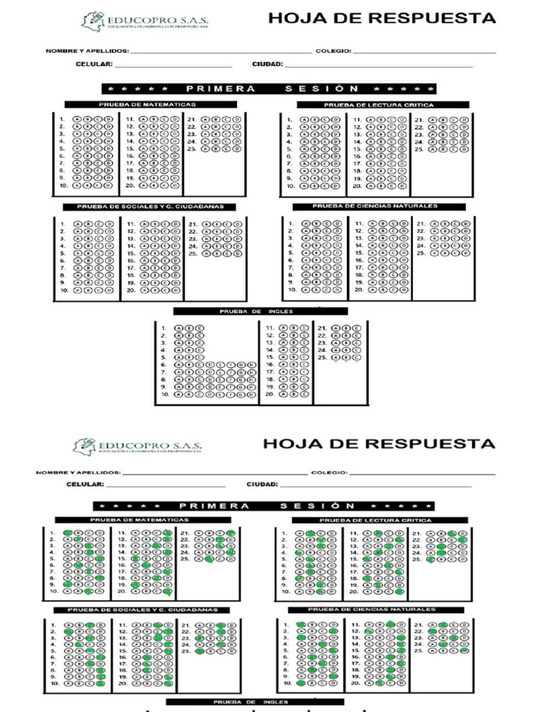 Hoja de Respuesta Prueba de Diagnostico 2024 | PDF