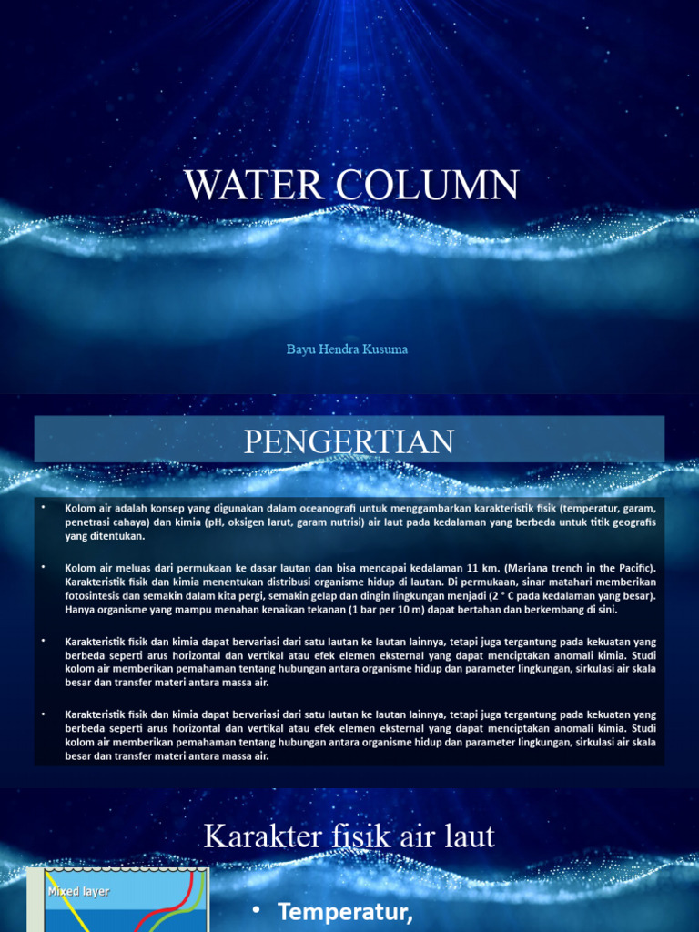 Water Column | PDF