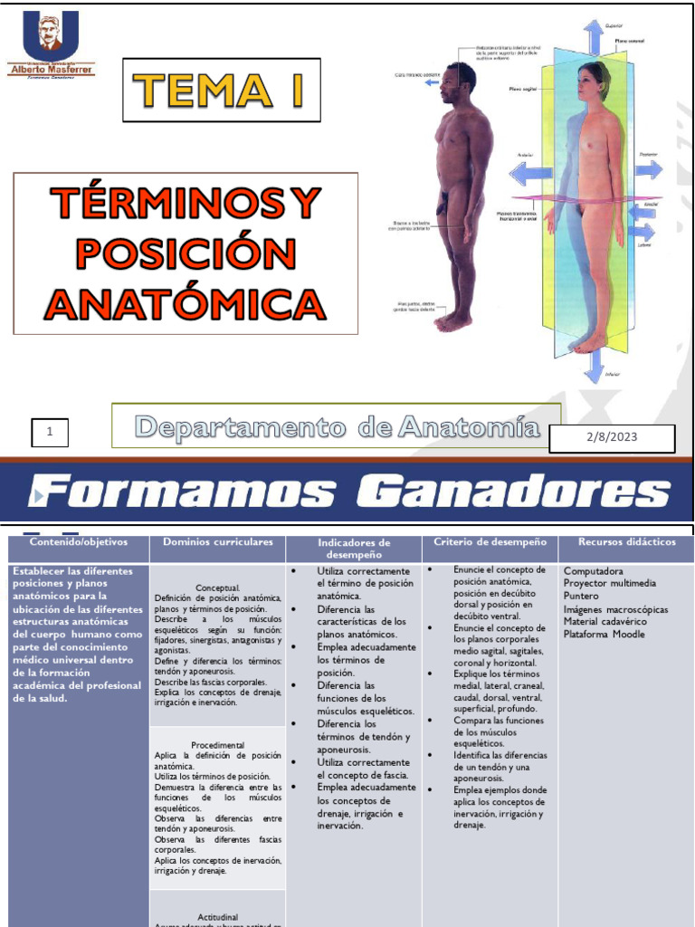 Tema 1 Términos y Posiciones Anatómicas | Descargar gratis PDF | Términos anatómicos de ...