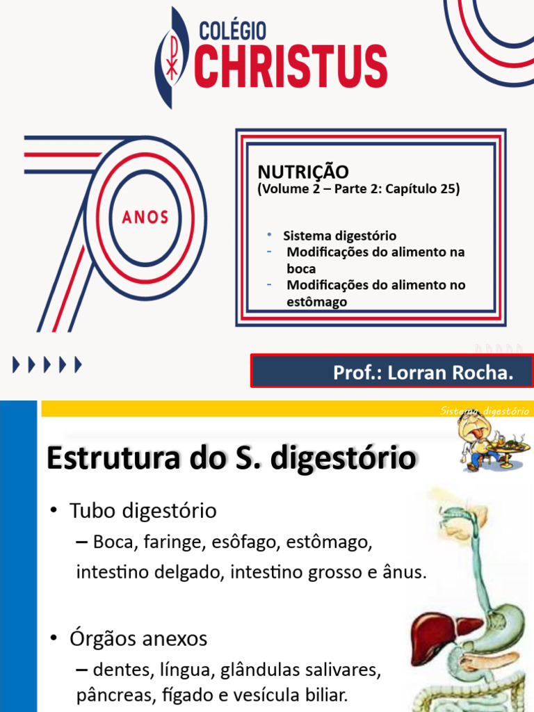 Slides - Fisiologia Humana - Sistema Digestório - Parte 01. | PDF ...