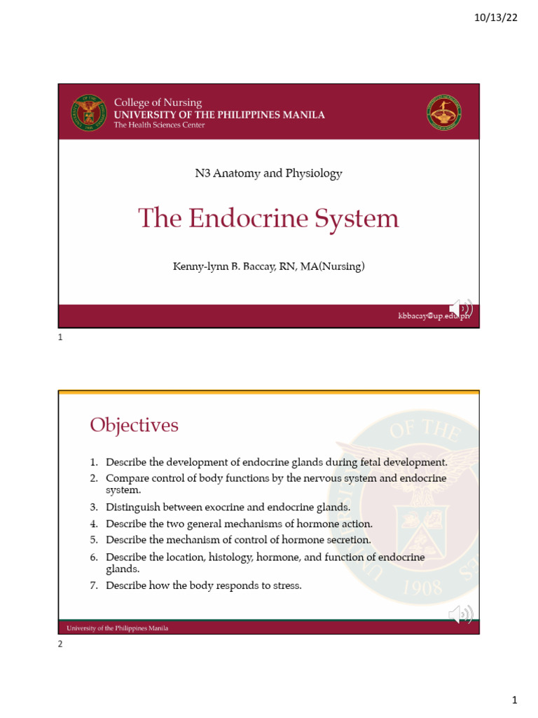 Endocrine System - HANDOUTS | PDF | Endocrine System | Hormone