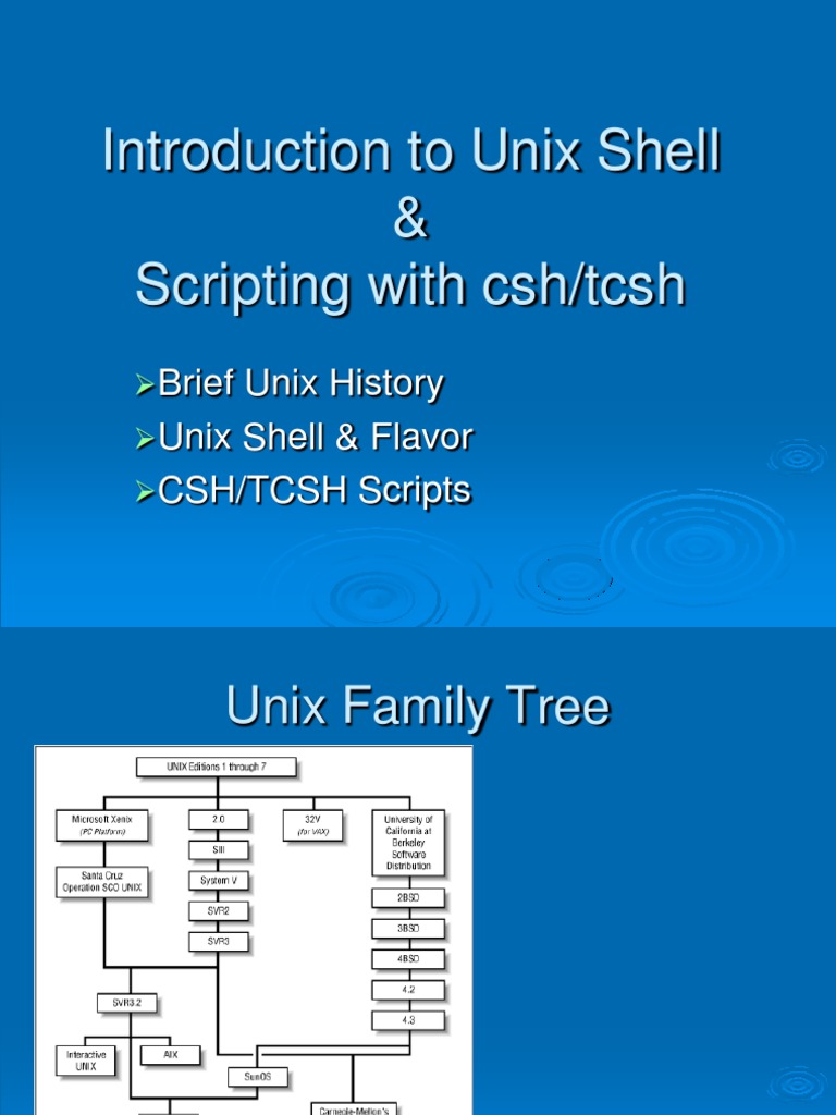 Tcsh Scripting Mcsr Basic Download Free Pdf Command Line Interface Parameter Computer