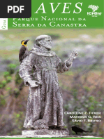 Tutorialpixton | PDF | Quadrinhos