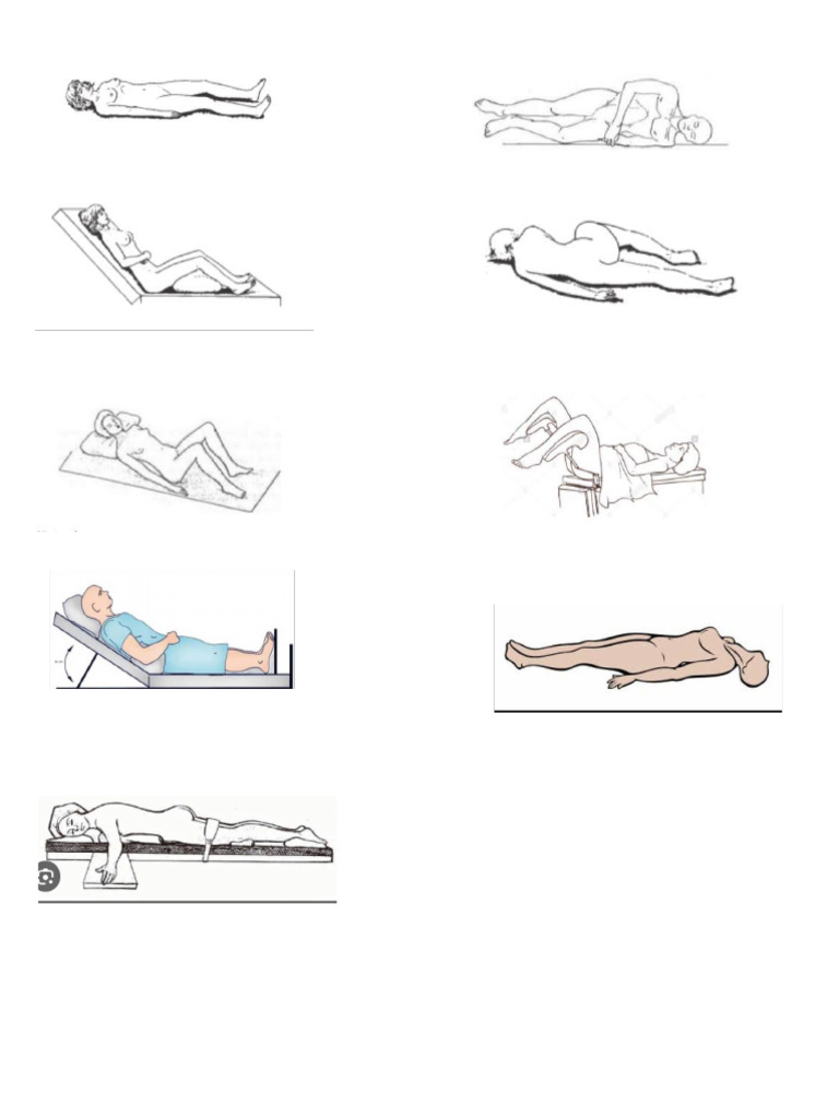 posiciones anatomicas | PDF