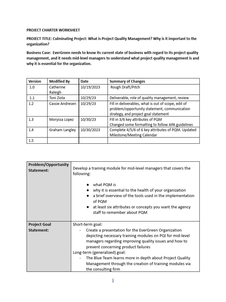 Blue Team Charter Template | PDF | Quality Management | Customer ...