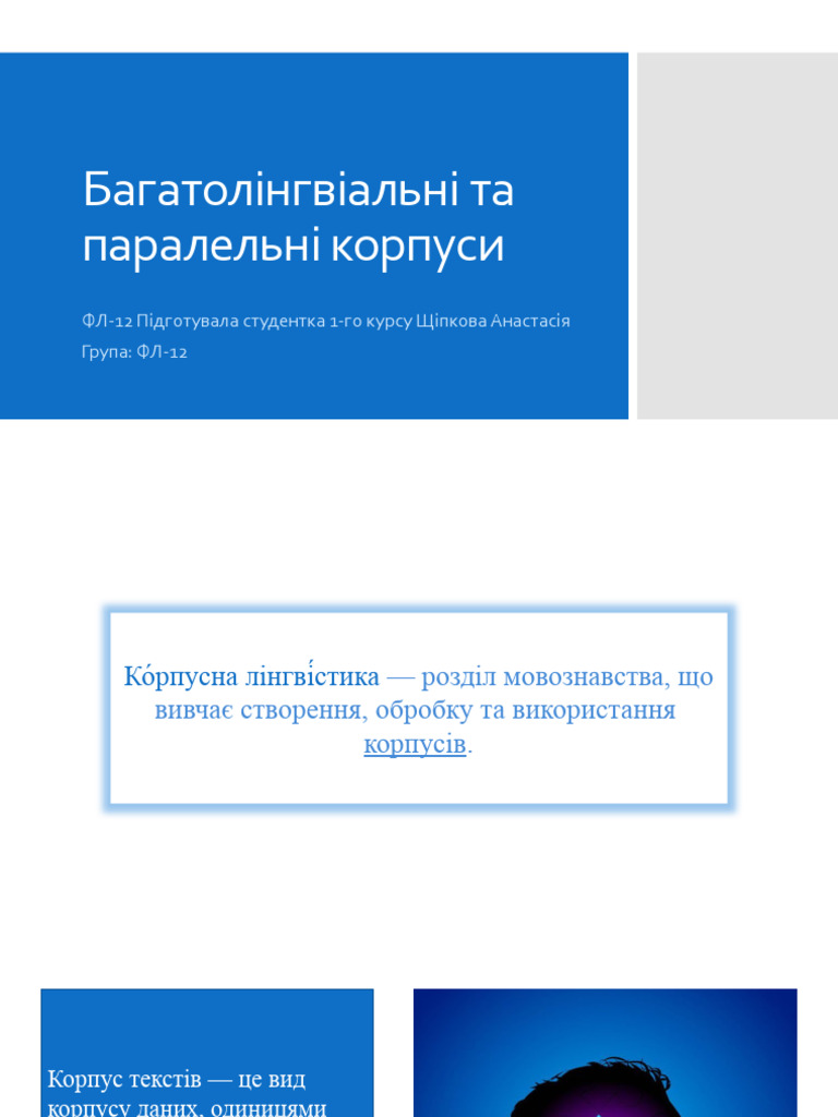 Multilingual and Parallel Corpora | PDF