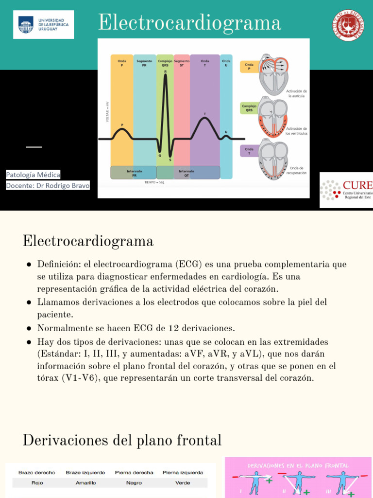 Electrocardiograma normal | PDF