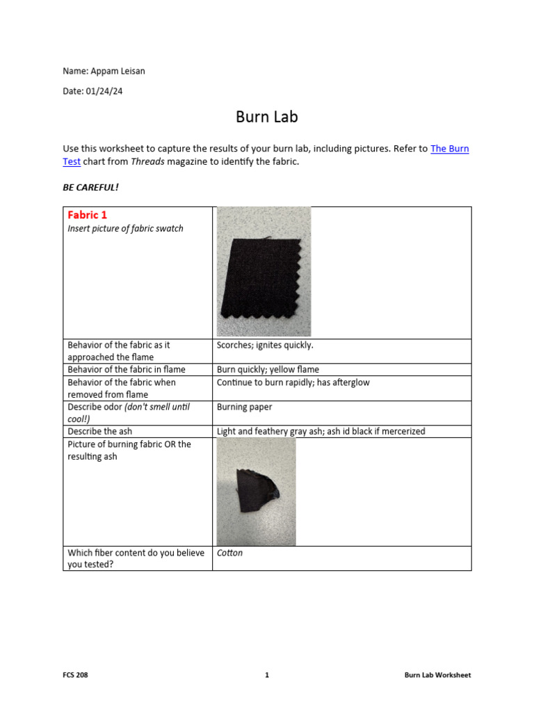 fcs208 Document Burn-Lab-Worksheet | PDF | Textiles | Fibers