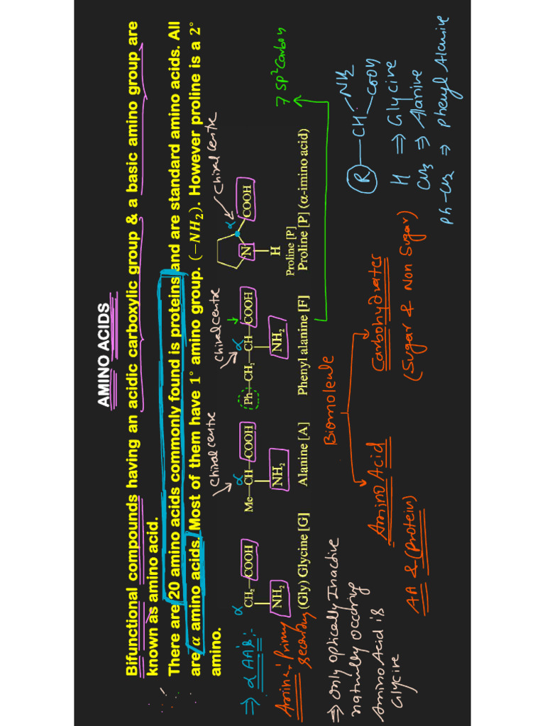 Biomolecule Part 1 | PDF