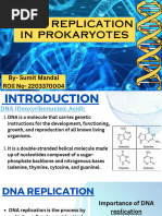 Human Genome Project Class 12 | PDF | Human Genome | Genome
