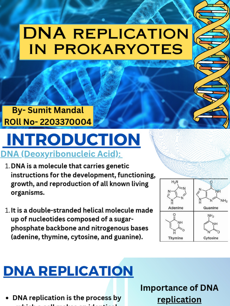 DNA Replication in Prokaryotes | PDF | Dna Replication | Dna