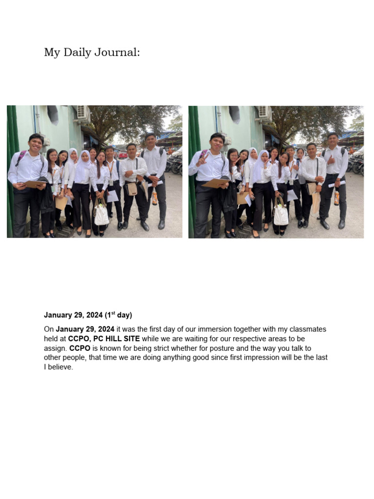 My Daily Journal | PDF