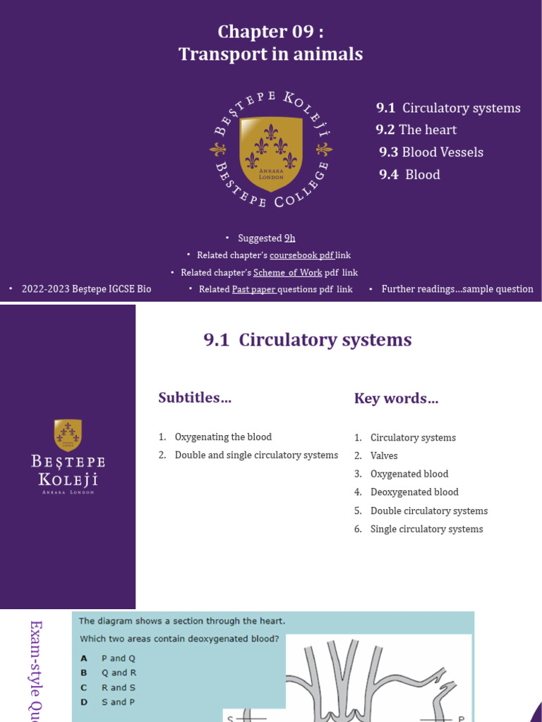 2b Chapter 09 Transport in Animals | PDF | Atrium (Heart) | Heart