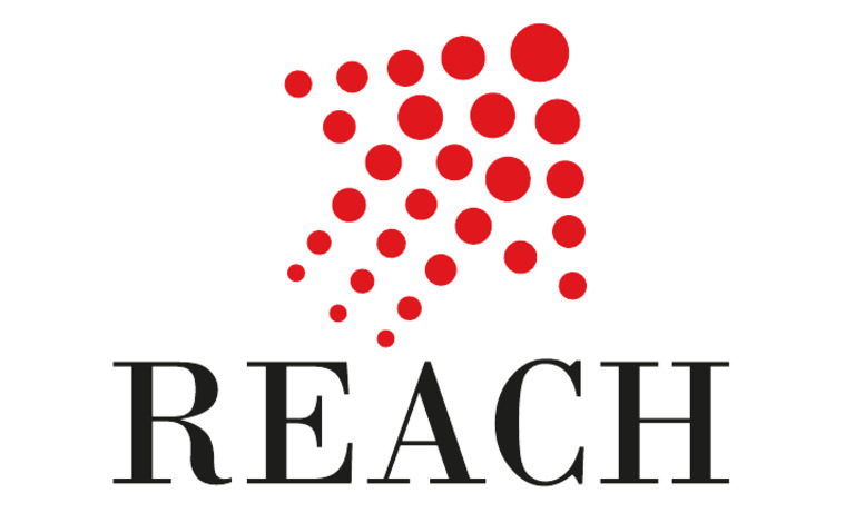 Reach Logo 5x3ft | PDF