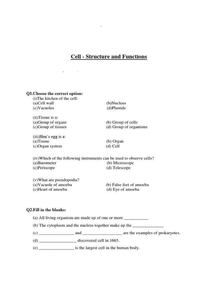 8-Science-Cell-Structure and Functions-Assignment | PDF | Cell (Biology ...