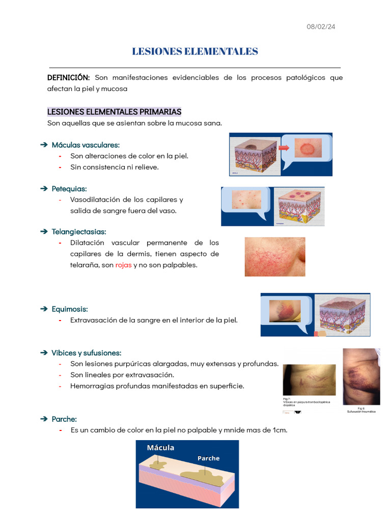 Lesiones-Elementales - MB 2 | PDF | Piel | Anatomía