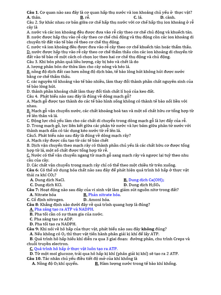 azota học kì | PDF