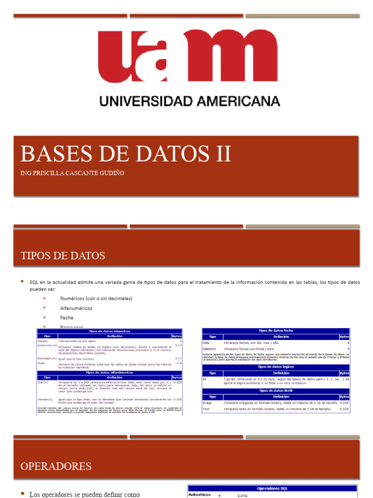 Tipos de Datos y Funciones en SQL | PDF | Informática