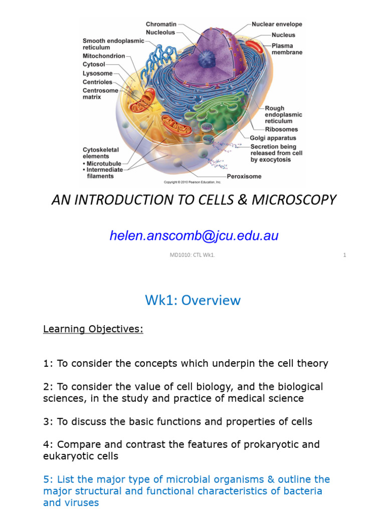 Intro Cells | PDF | Cell (Biology) | Life