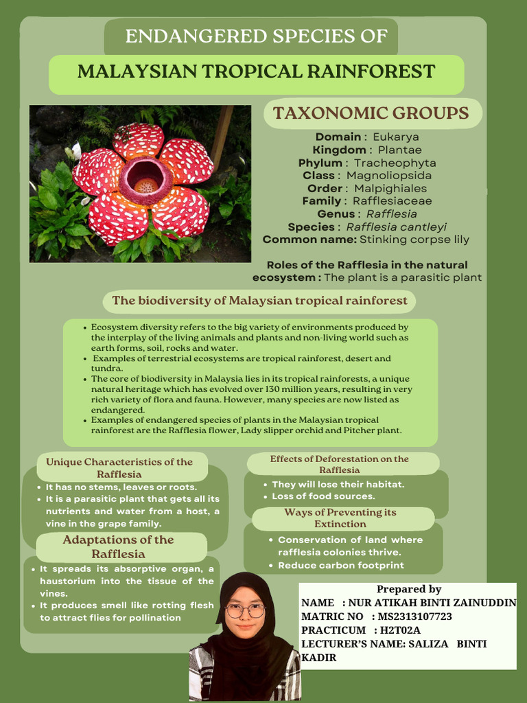 Atikah H2T2A Poster | PDF | Plants | Organisms