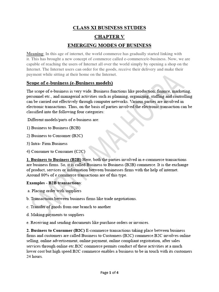 V Class Xi Business Studies | PDF | Electronic Business | E Commerce