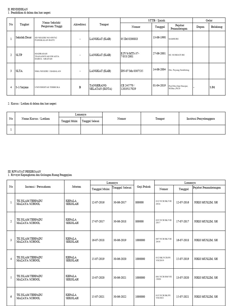 DRH Riwayat P3K 2023 | PDF