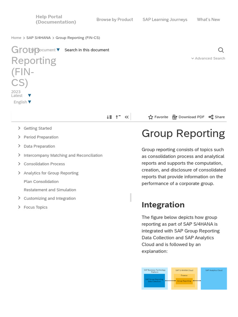Group Reporting _ SAP Help Portalfdp | PDF | Analytics | Simulation