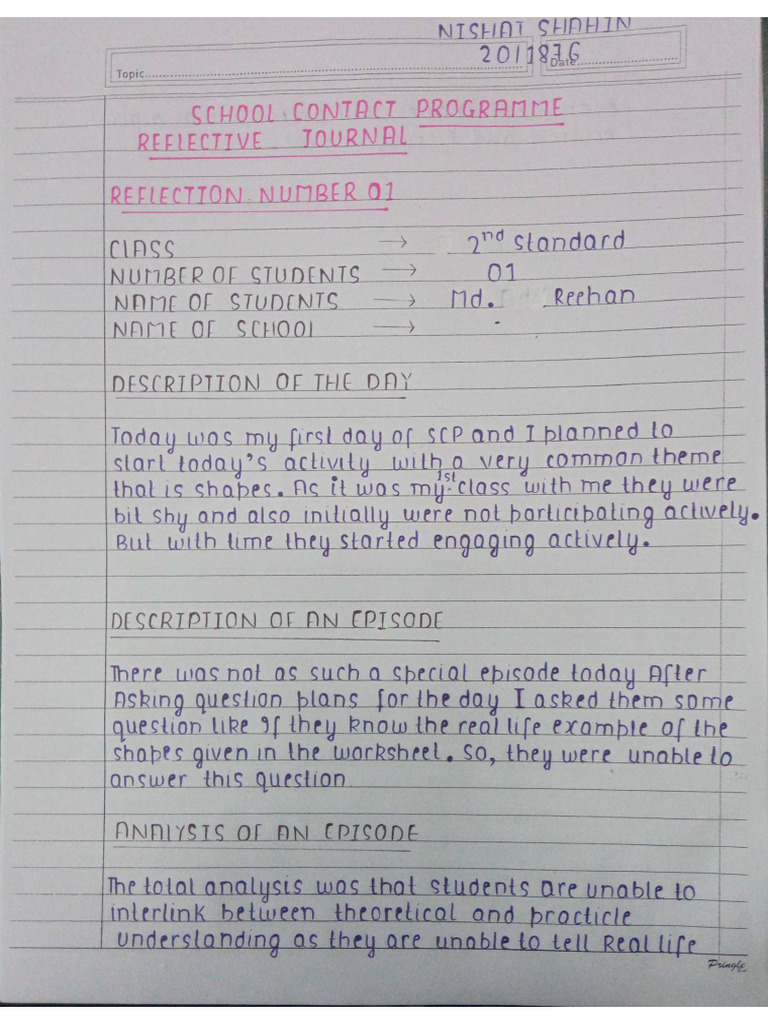 Reflective Journal of Teaching Grade2 | PDF