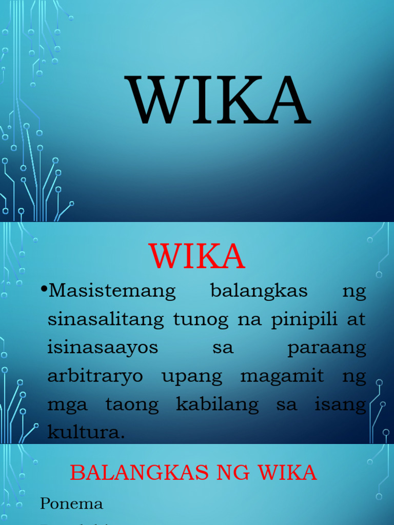 WIKA | PDF