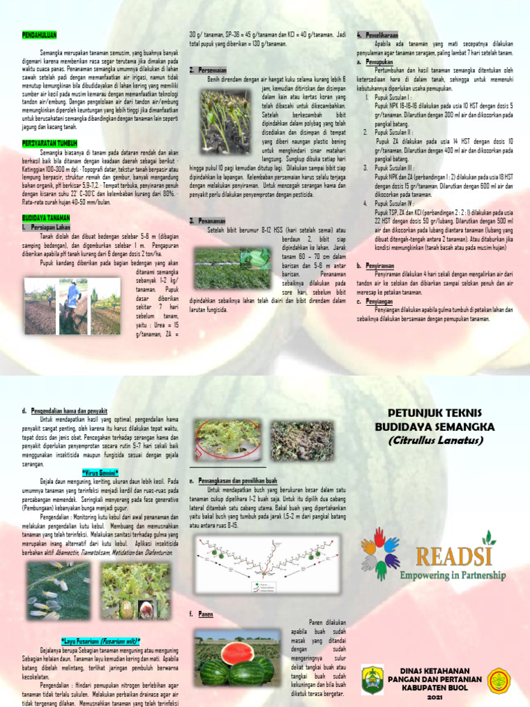 Leaflet Budidaya Semangka | PDF