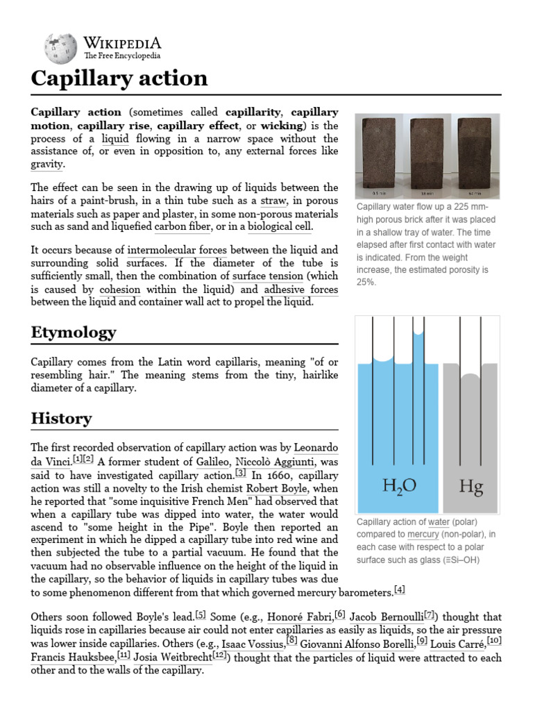 Capillary action | PDF | Gases | Chemical Engineering