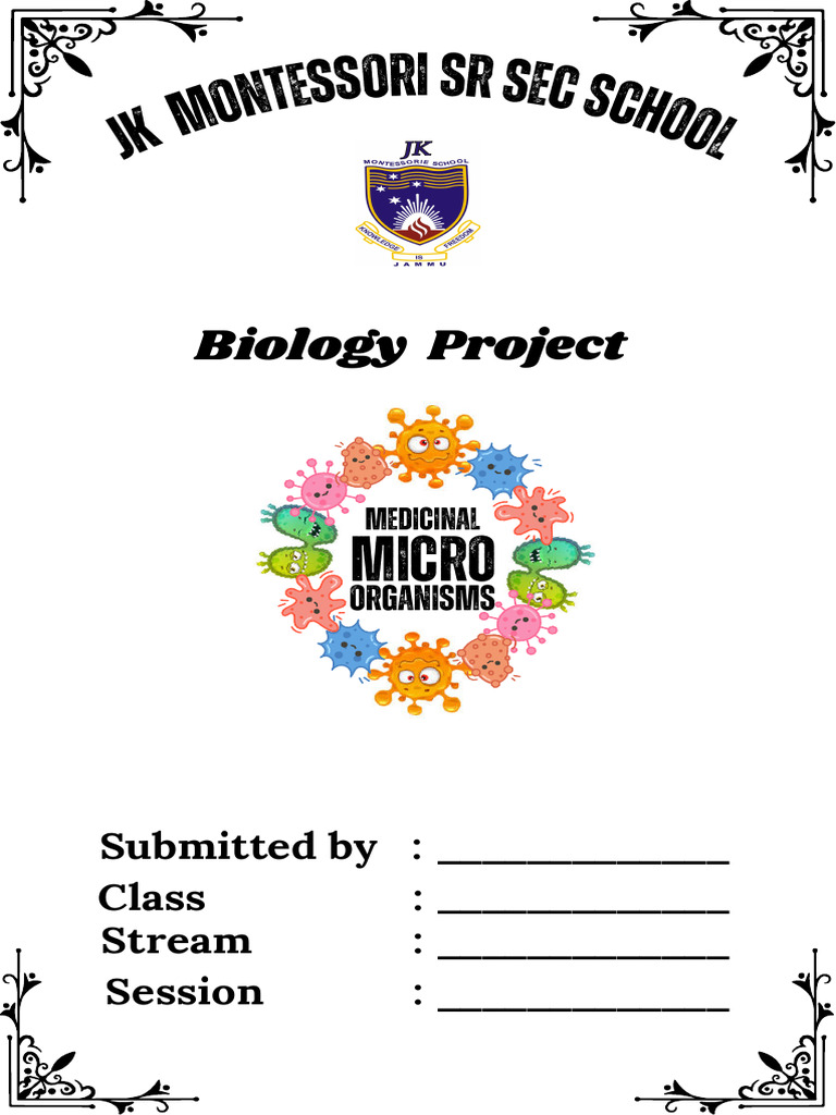Zoology Project Medicinally Important Microorganisms | PDF | Penicillin ...